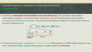 Trp operon | PPTX