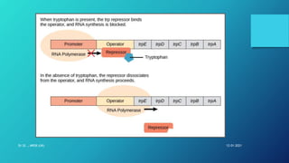 Trp operon | PPTX