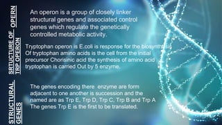Trp operon | PPTX