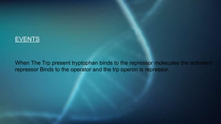 Trp operon | PPT
