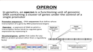 Trp operon | PPTX | Genetics | Science