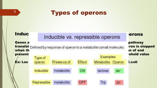 Trp operon | PPTX