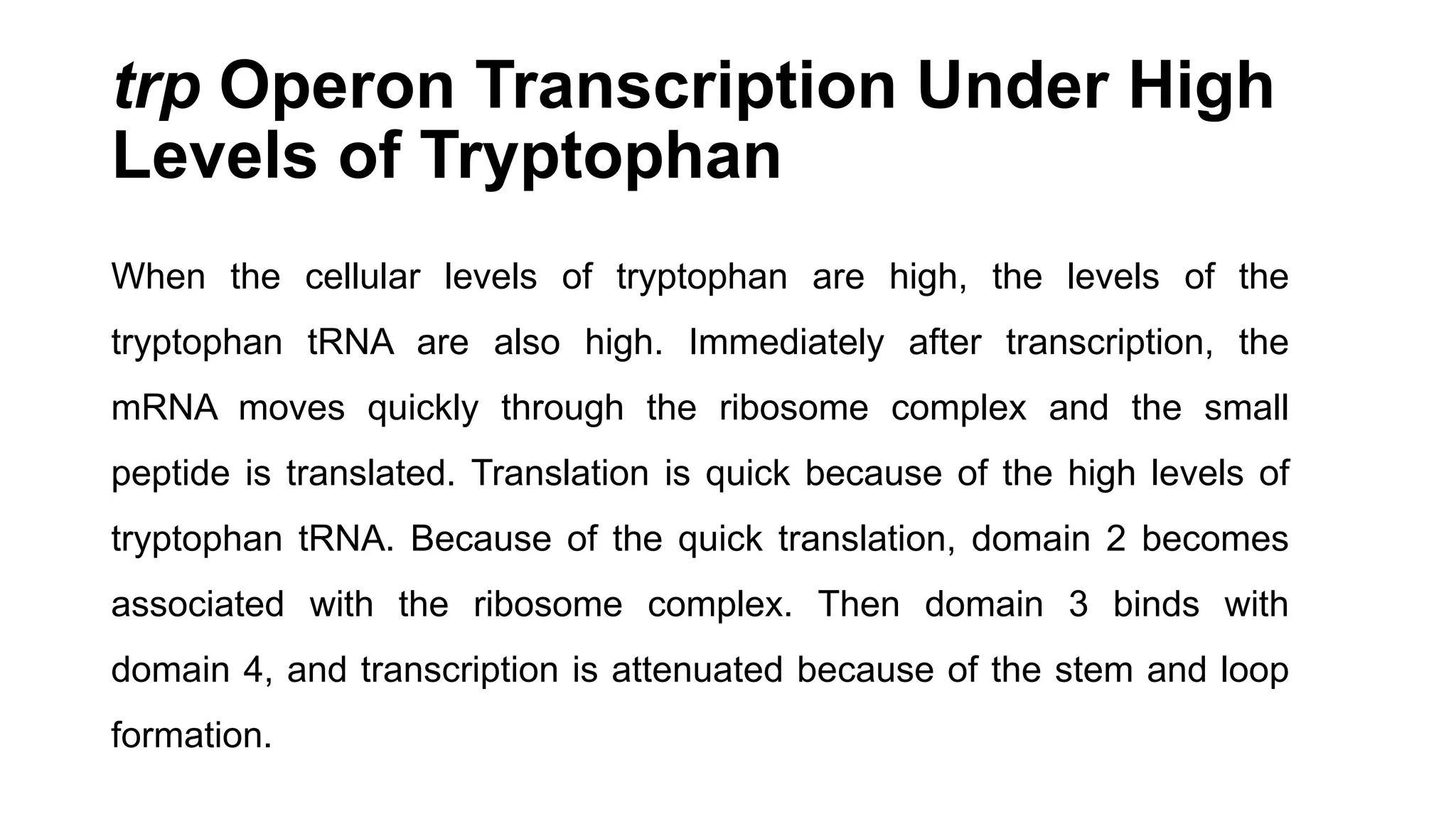 Trp Operon.pptx