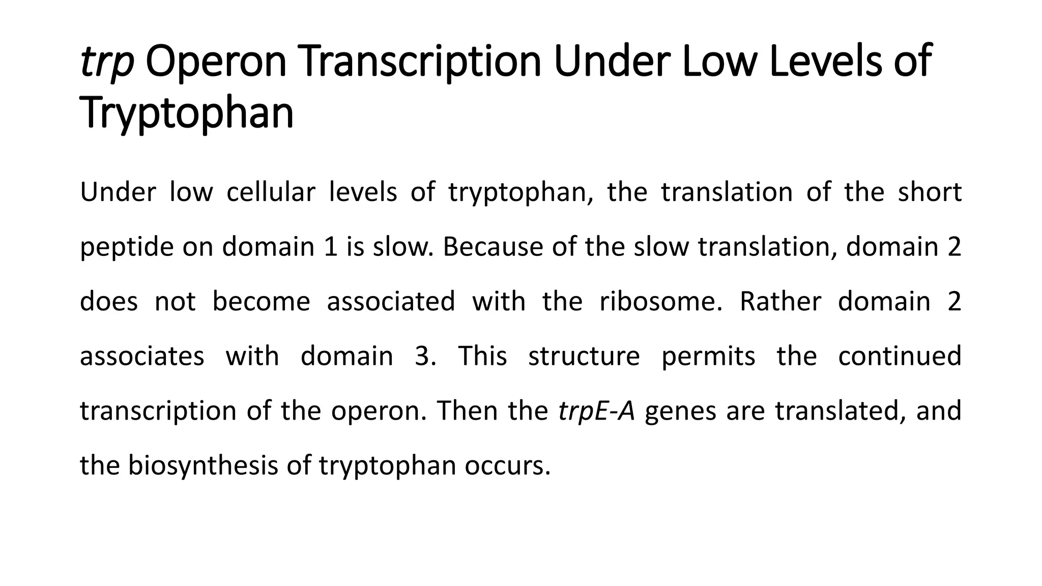 Trp Operon.pptx