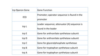 Trp Operon.pptx