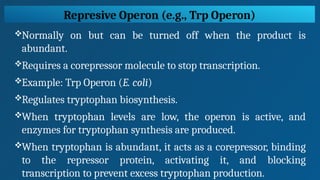 Trp Operon (Represive Operon (e.g., Trp Operon) | PPT