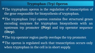 Trp Operon (Represive Operon (e.g., Trp Operon) | PPT