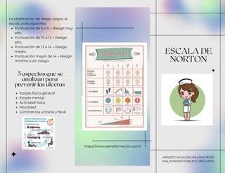 Tríptico Escala de Norton escuela universidad | PDF