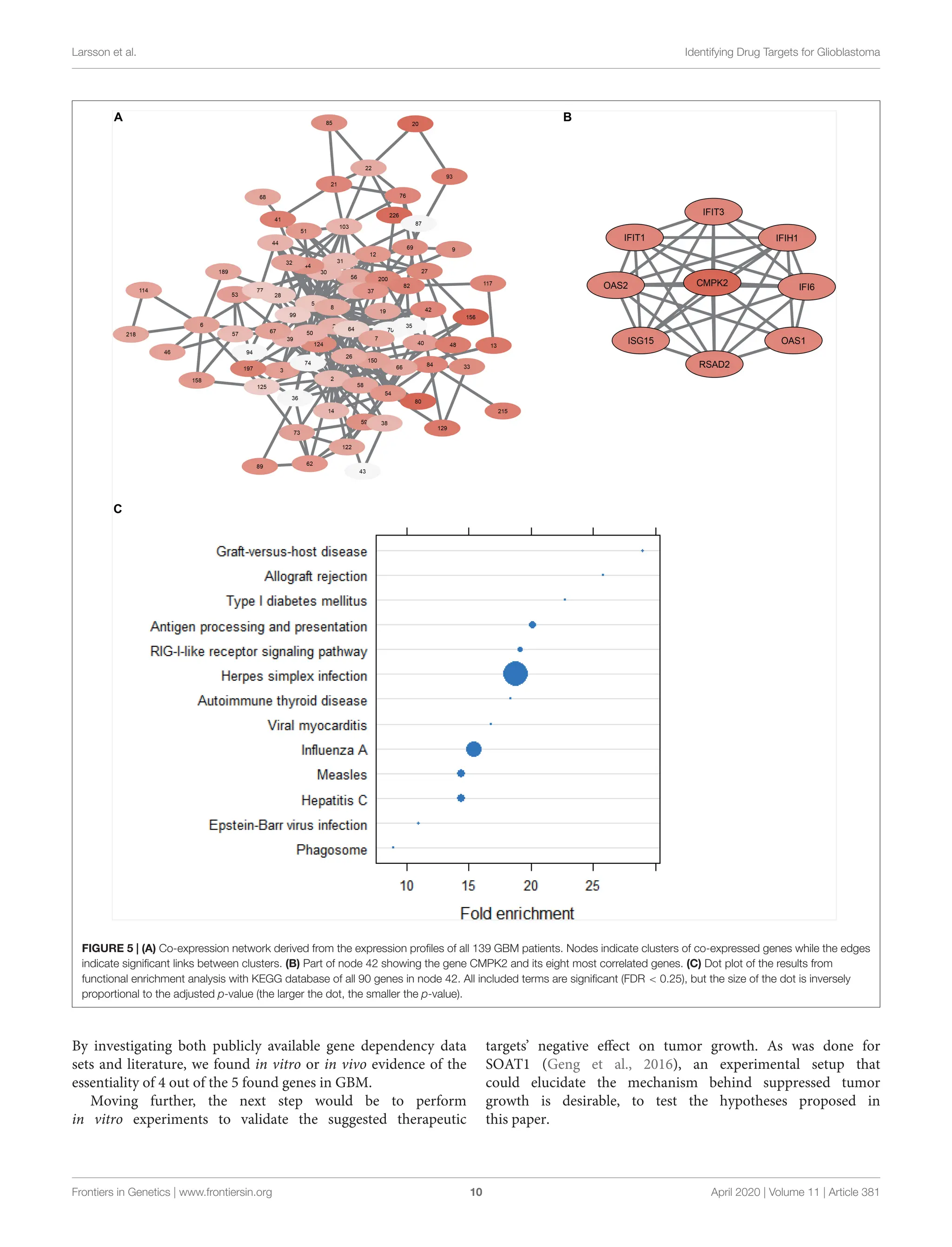 Genome-Scale Metabolic Modeling of Glioblastoma Reveals Promising Targets for Drug Development | PDF