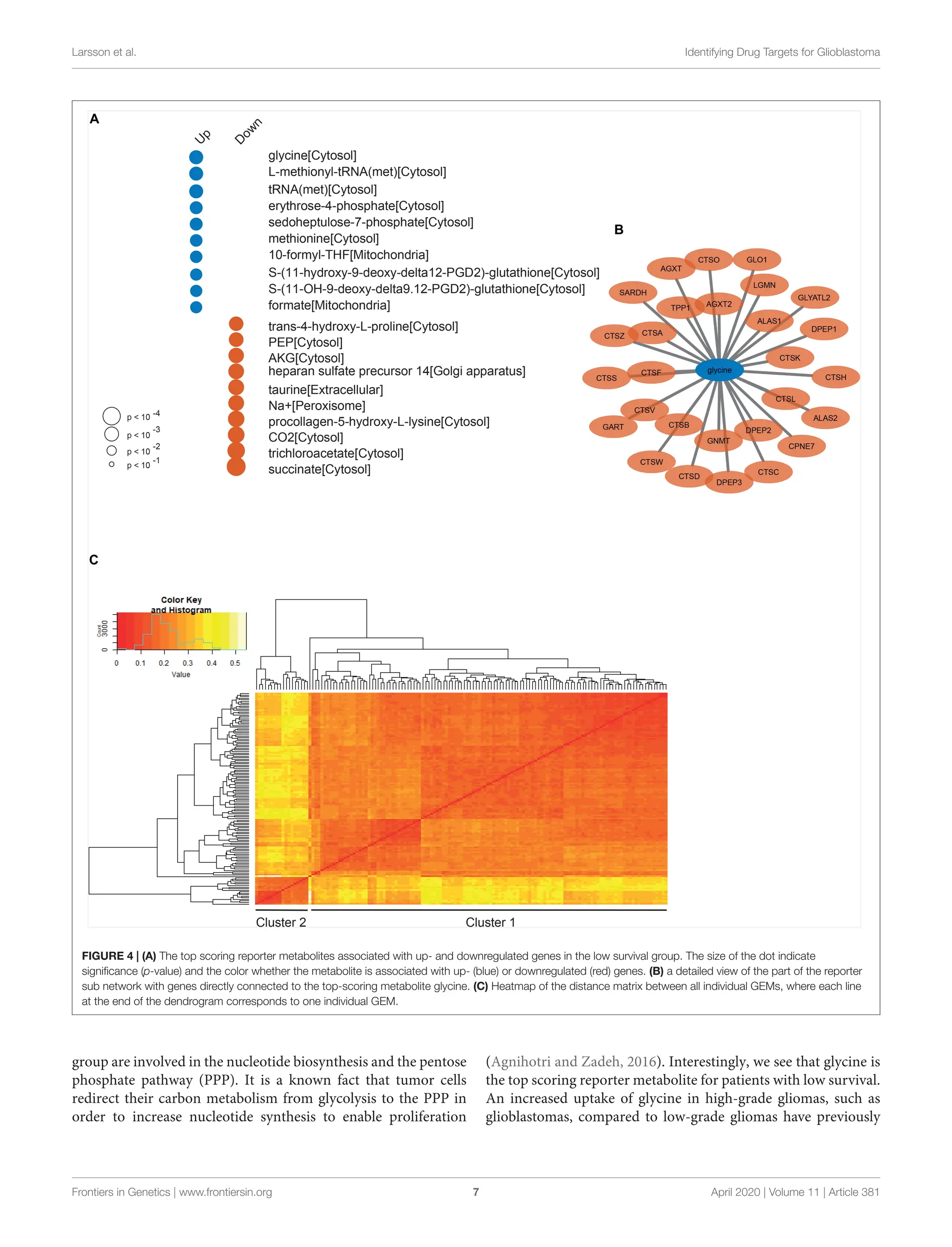 Genome-Scale Metabolic Modeling of Glioblastoma Reveals Promising ...
