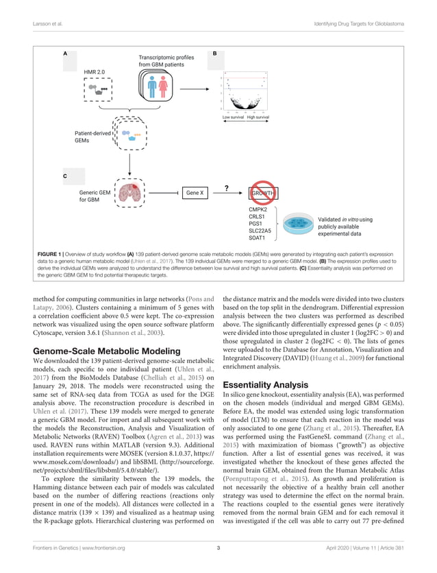 Genome-Scale Metabolic Modeling of Glioblastoma Reveals Promising Targets for Drug Development | PDF