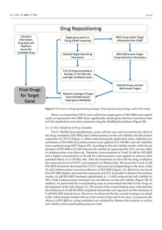Discovery of A Therapeutic Agent for Glioblastoma Using A Systems ...