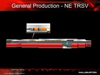 Trsv overview external | PPT