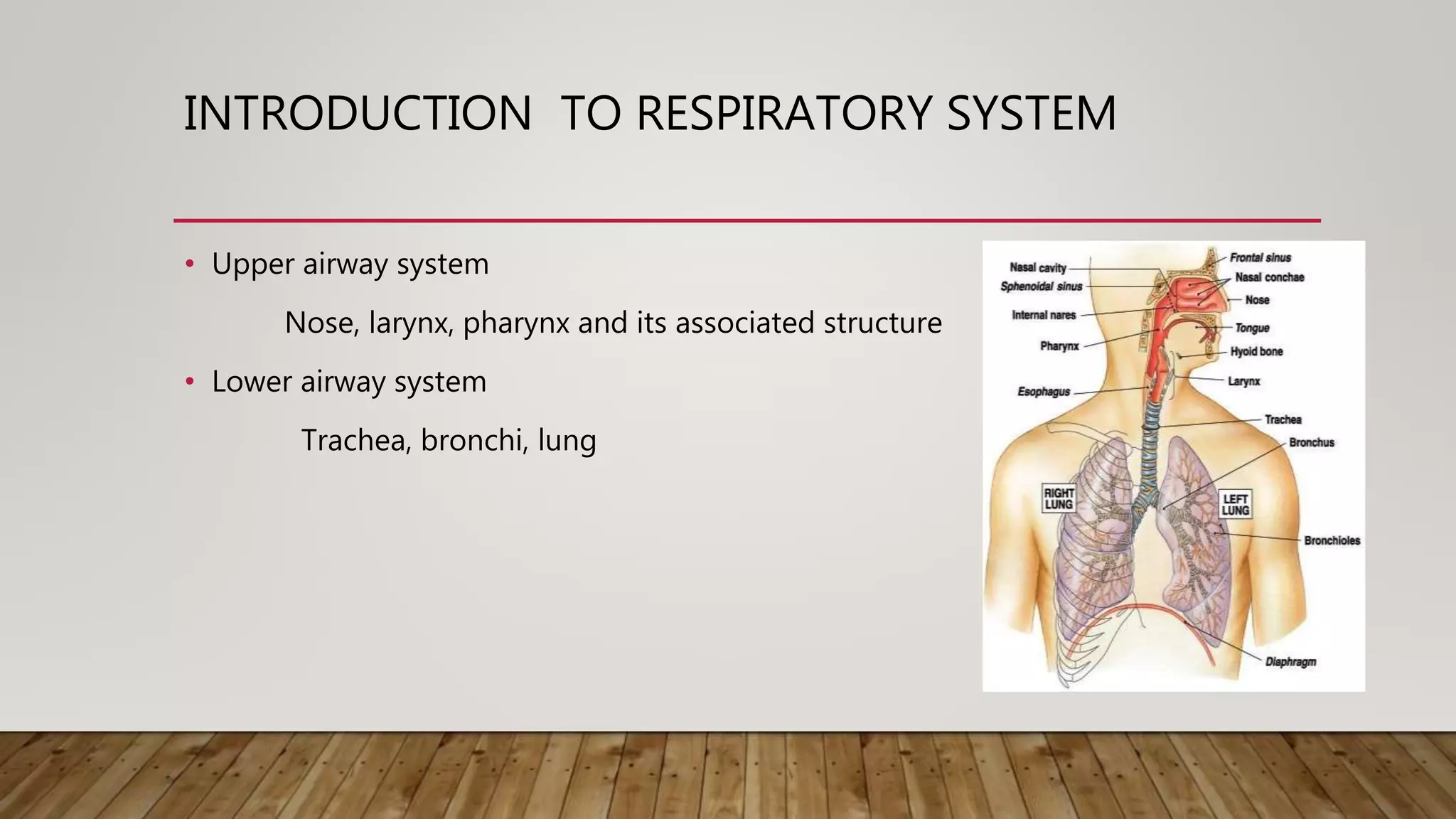 Terminal respiratory unit | PPTX