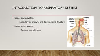 Terminal respiratory unit | PPTX