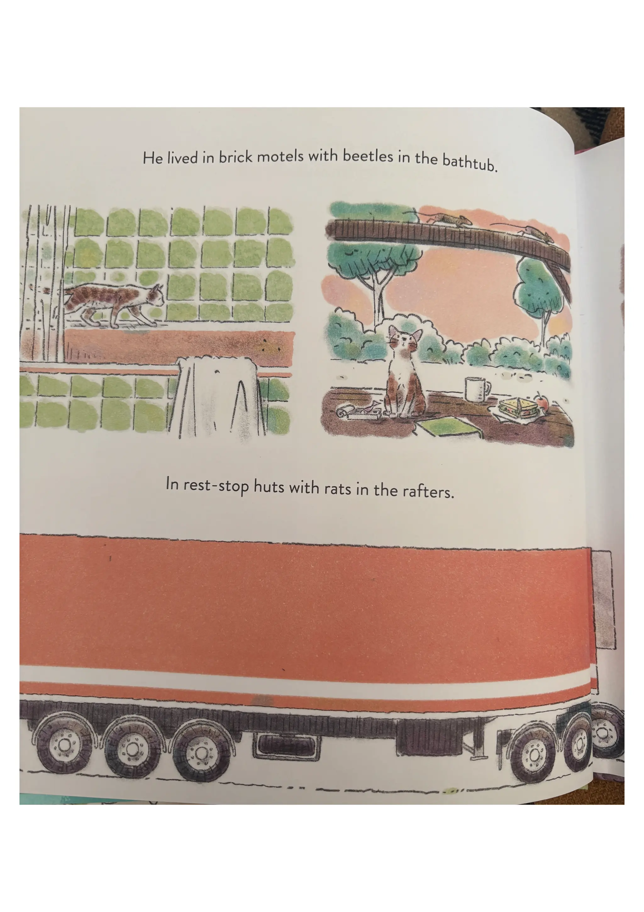 Truck Cat children's book for year 1 and 2 | PDF