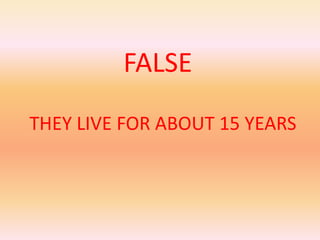 True and false chairs game | PPT