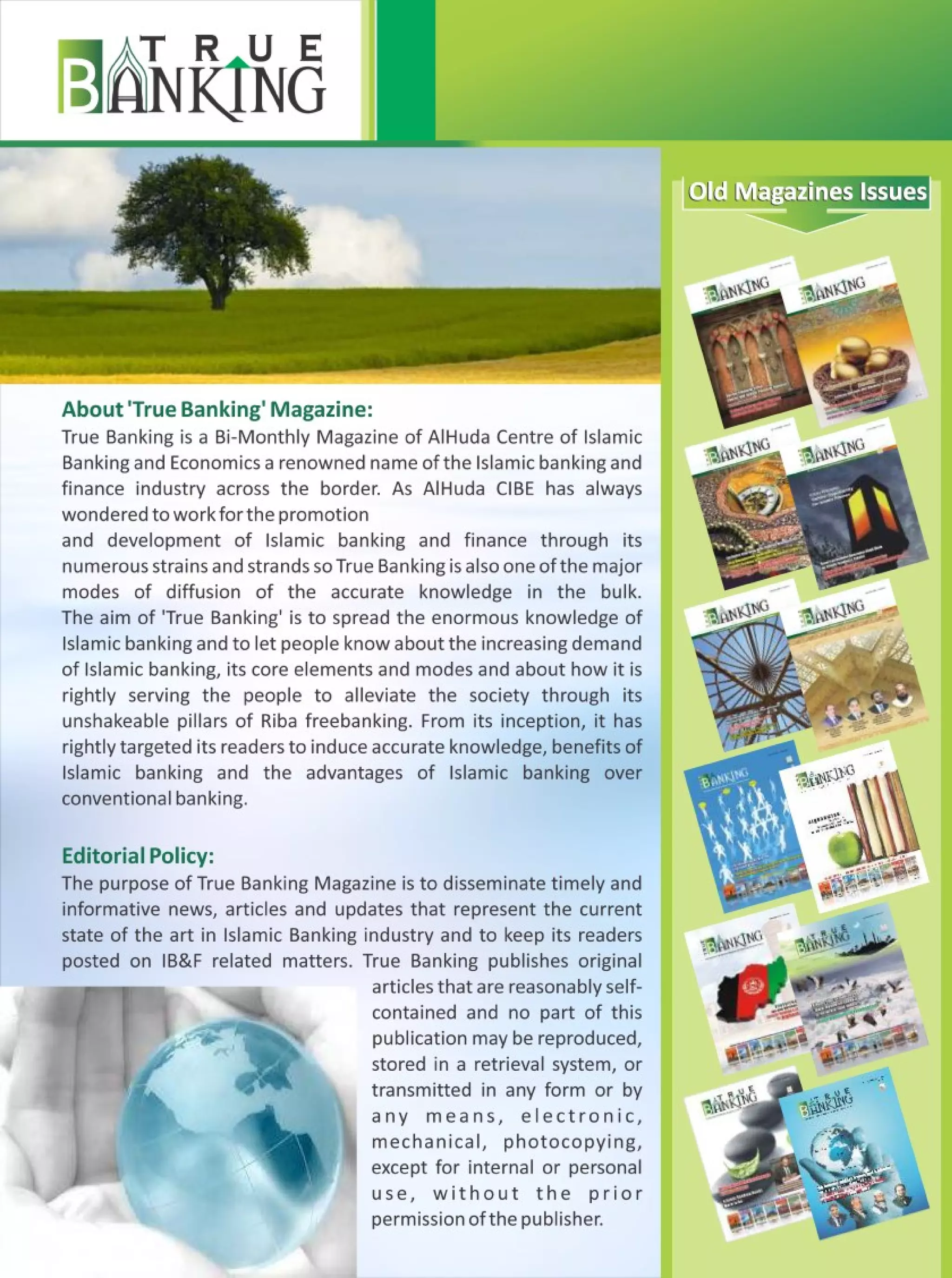 True banking profile light | PDF