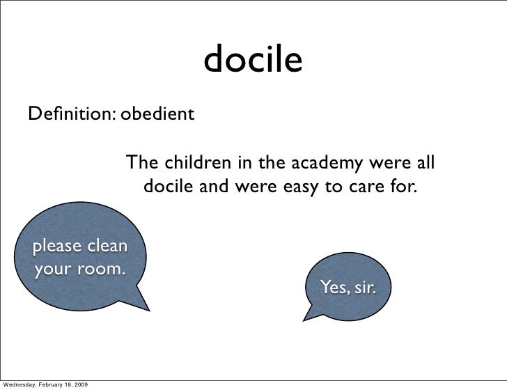 The True Confessions of Charlotte Doyle Vocabulary