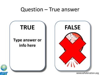 True, false template | PPTX