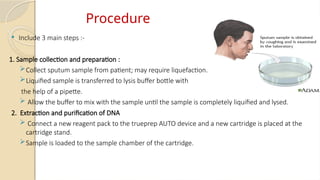 TRUENAT TEST for detection of Tuberculosis | PPTX