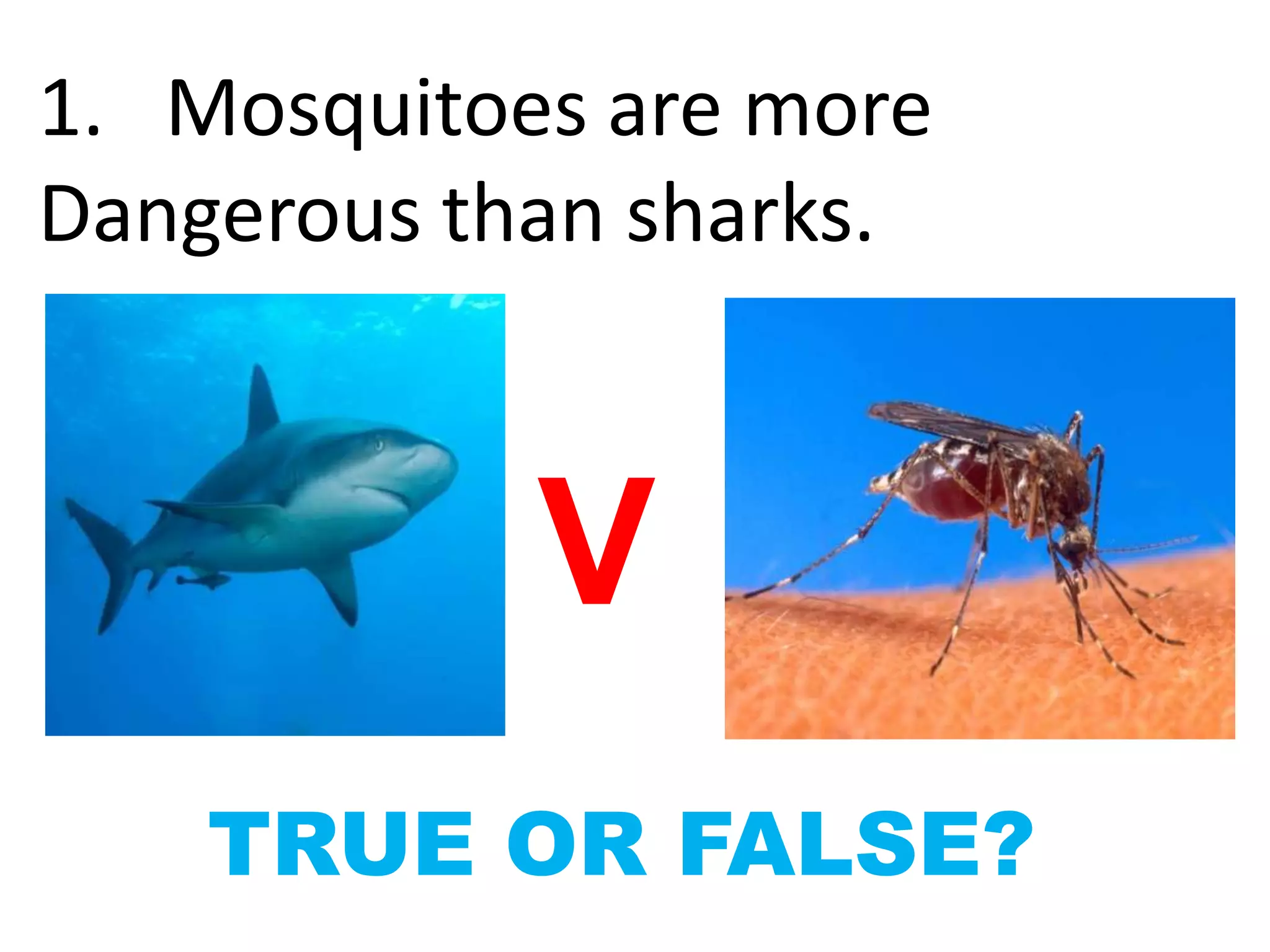 Trueorfalseshow | PPTX