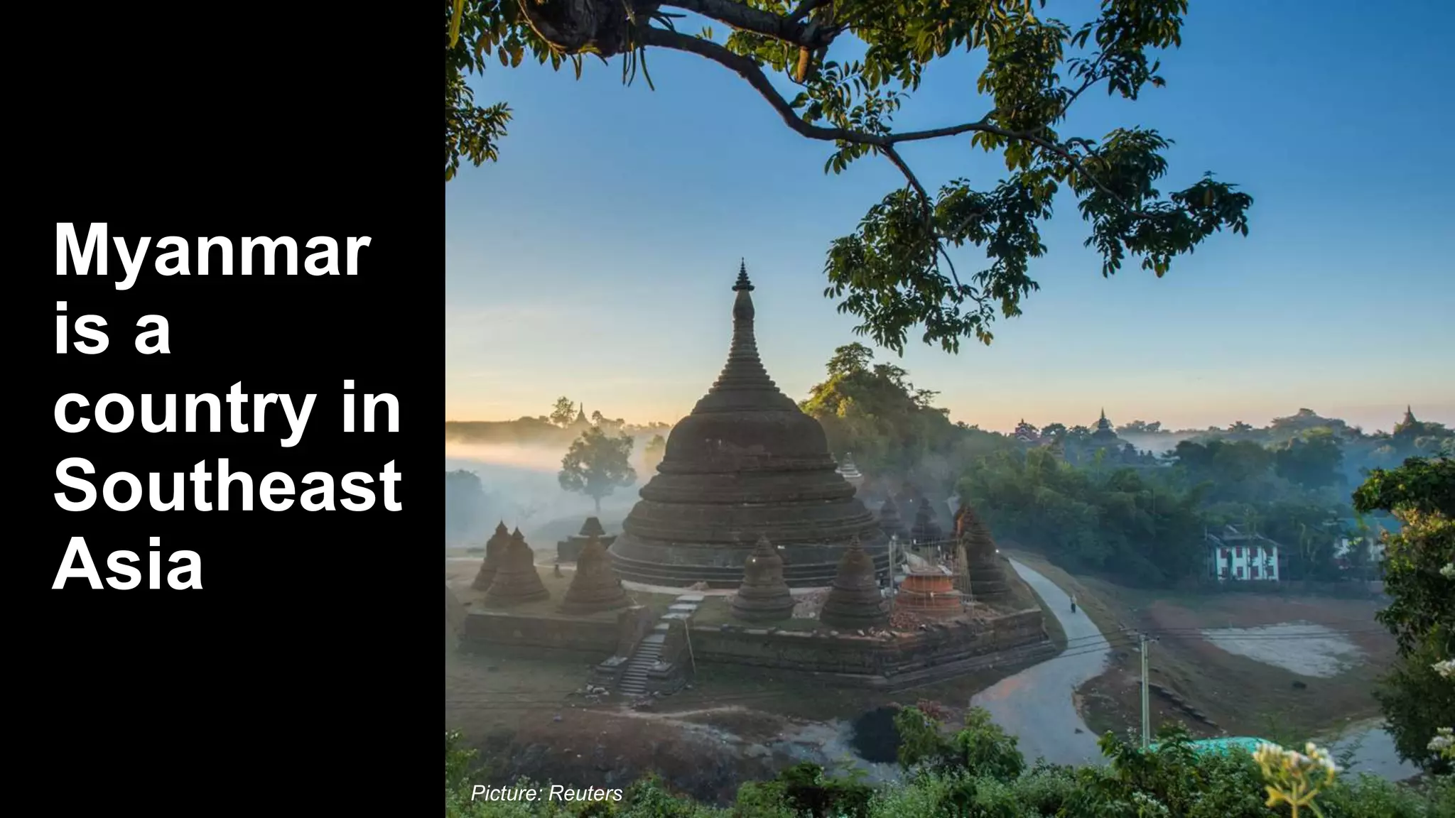 True or false PowerPoint | PPTX