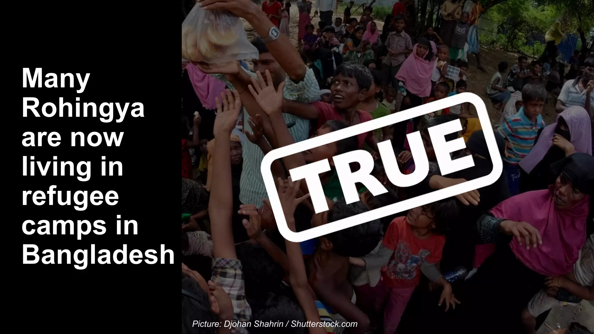 True or false PowerPoint | PPTX