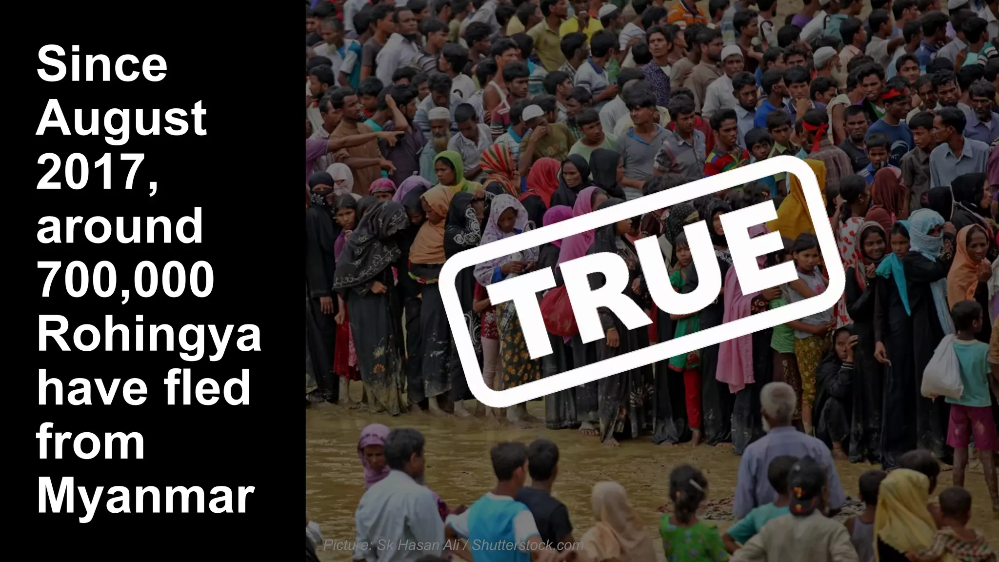 True or false PowerPoint | PPTX