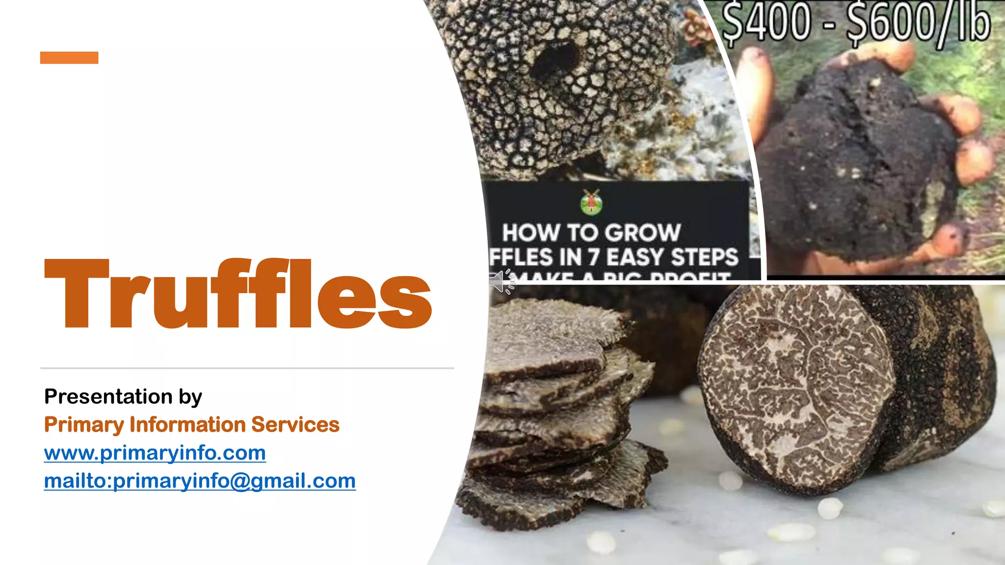 Truffles | PDF