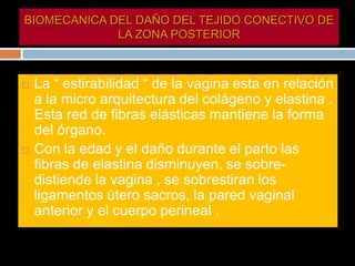 Importancia De La Preservación Del Anillo Pericervical En | PPTX