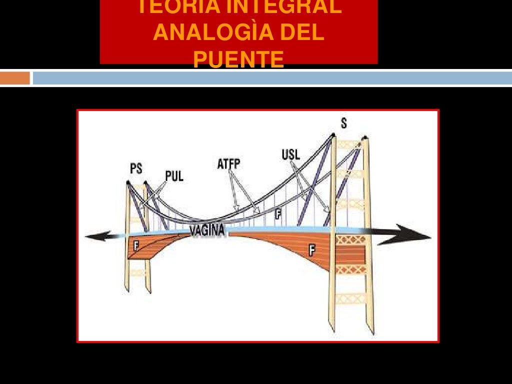 Importancia De La Preservación Del Anillo Pericervical En