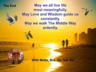 Truly Wise Reflections | PPT