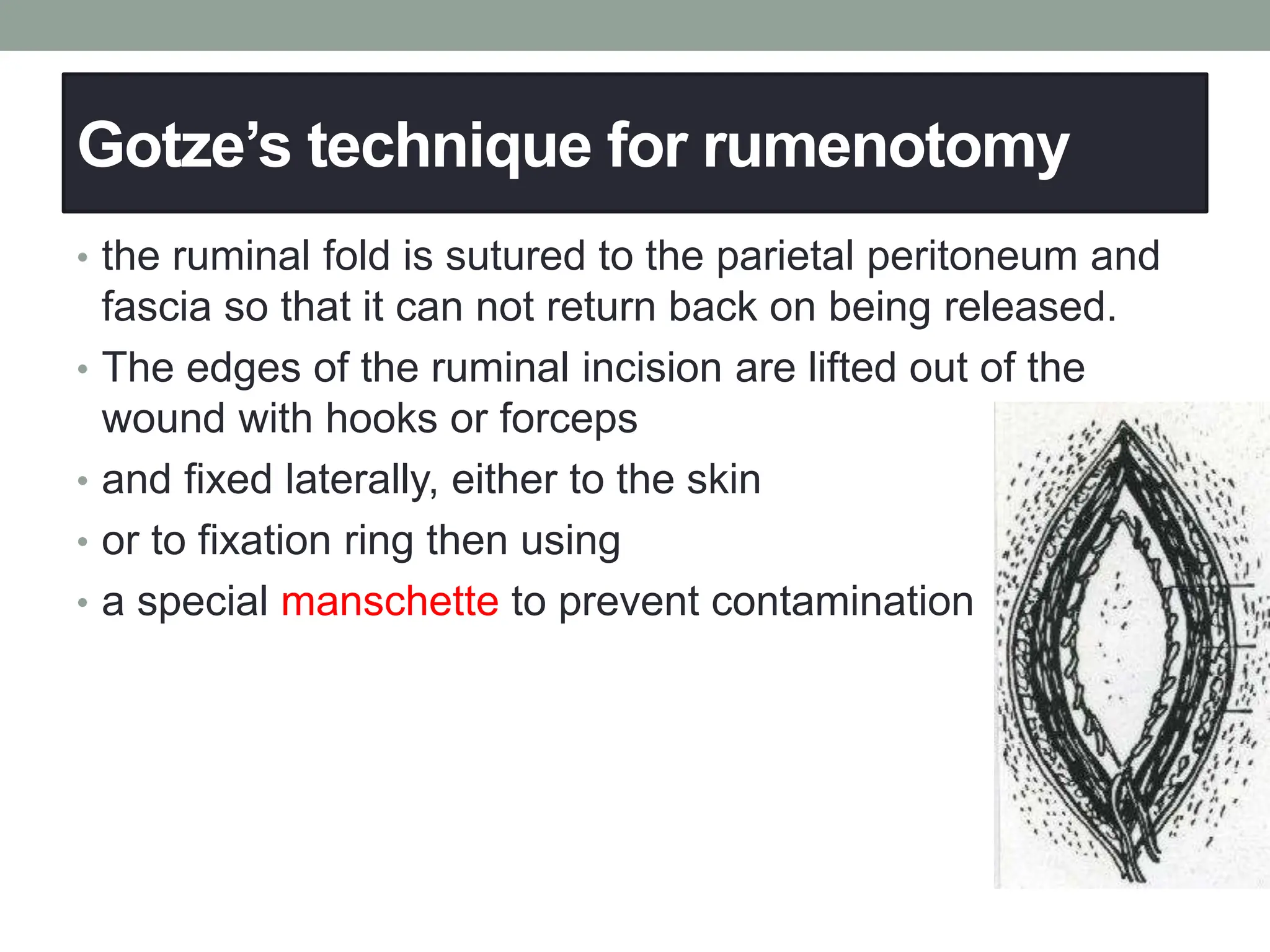 trumatic in veterinary in the fourh years | PPTX