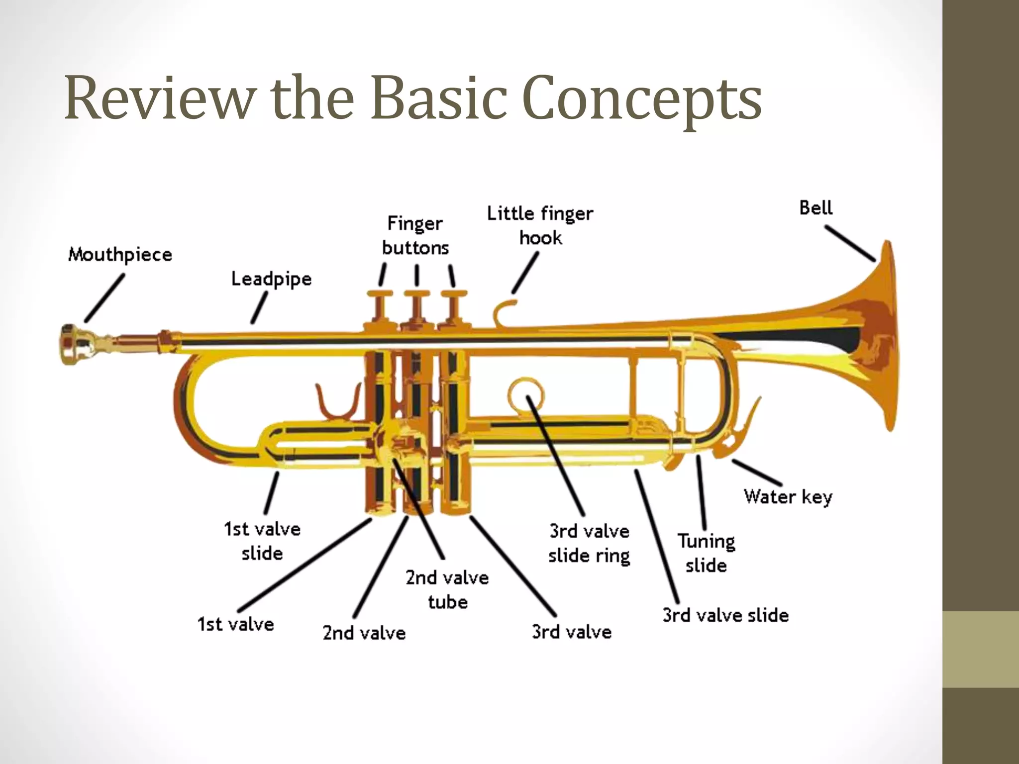 Trumpet Multimedia Principle | PPT