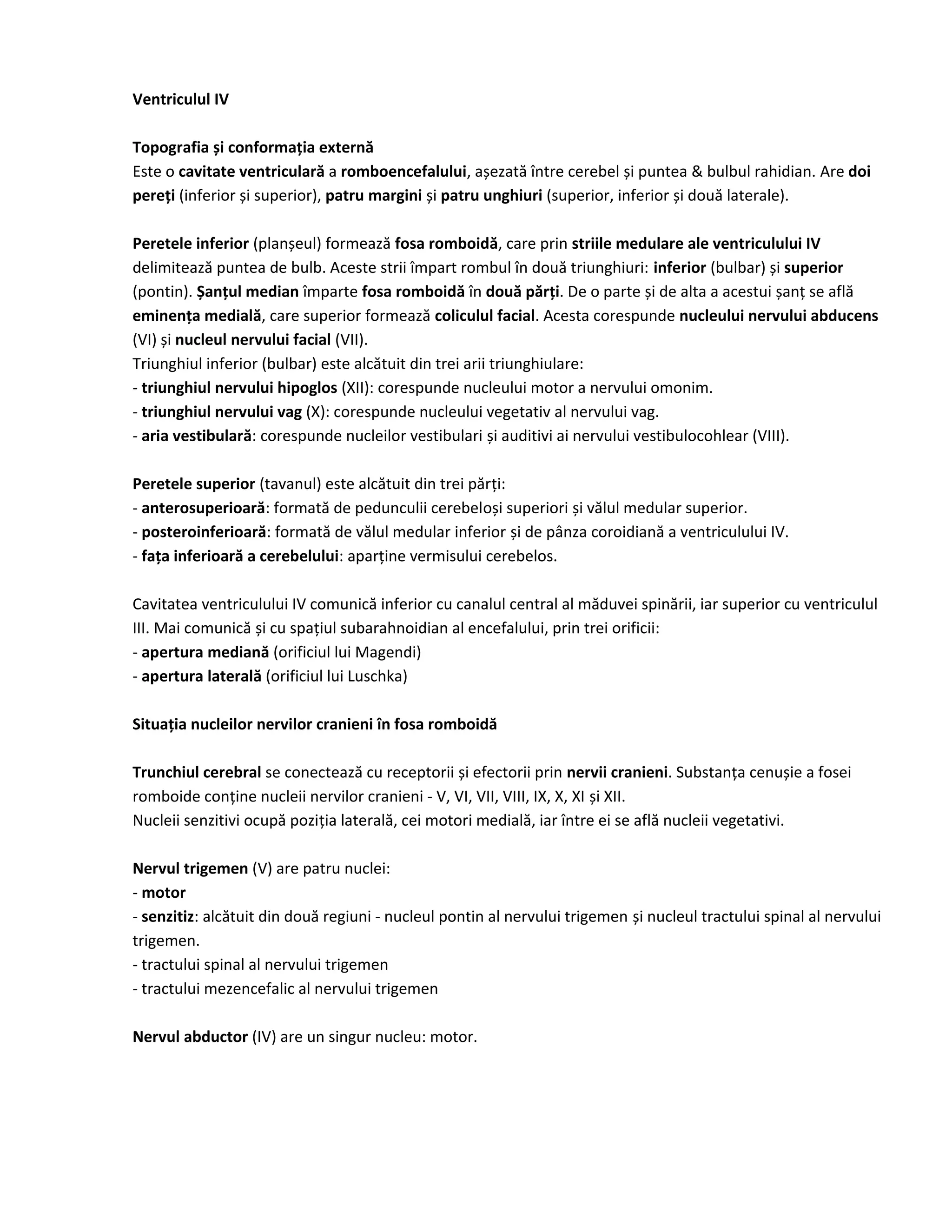 Anatomie: Trunchiul cerebral | RTF