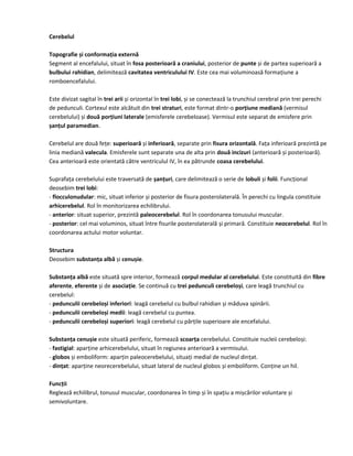 Anatomie: Trunchiul cerebral | RTF