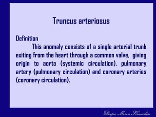 Truncus | PPT
