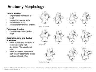 Truncus Arteriosus: Assessment and Surgical Management | PDF