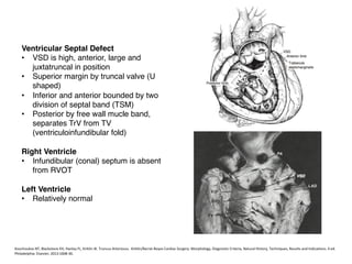 Truncus Arteriosus: Assessment and Surgical Management | PDF