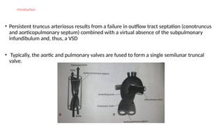 truncus arteriosus anaesthesia management | PPTX