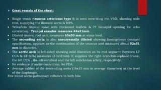 Truncus arteriosus - Hemitruncus - Pseudotruncus CT role | PPT