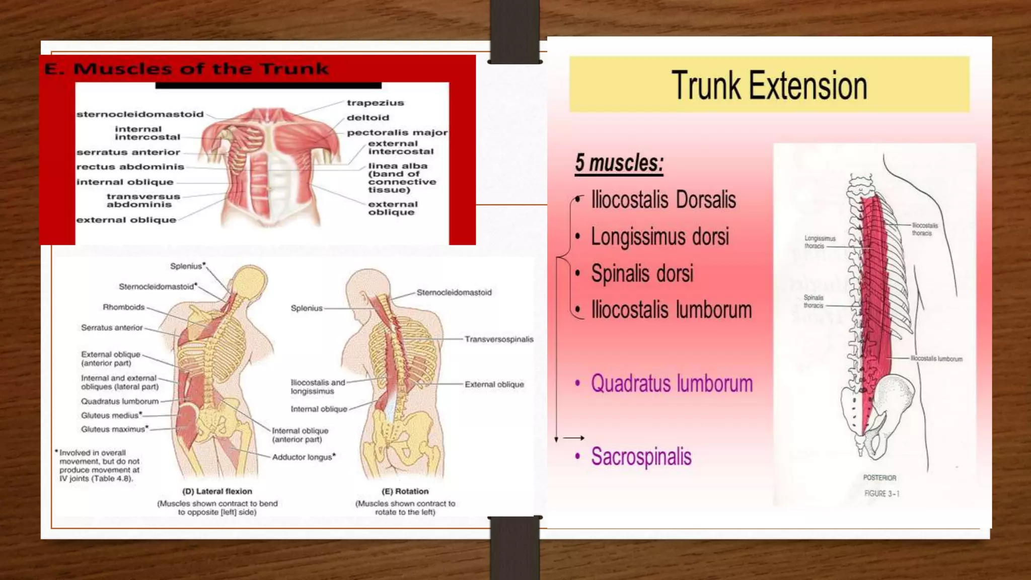 Trunk control assessment | PPTX