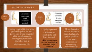 Trunk control assessment | PPTX