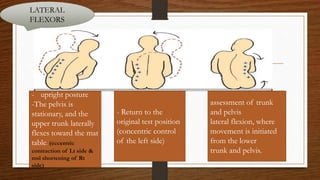 Trunk control assessment | PPTX
