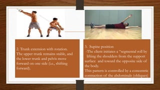 Trunk control assessment | PPT