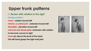 trunk , head and neck PNF techniques. PDF | PDF