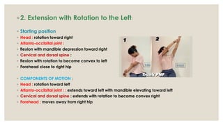 trunk , head and neck PNF techniques. PDF | PDF