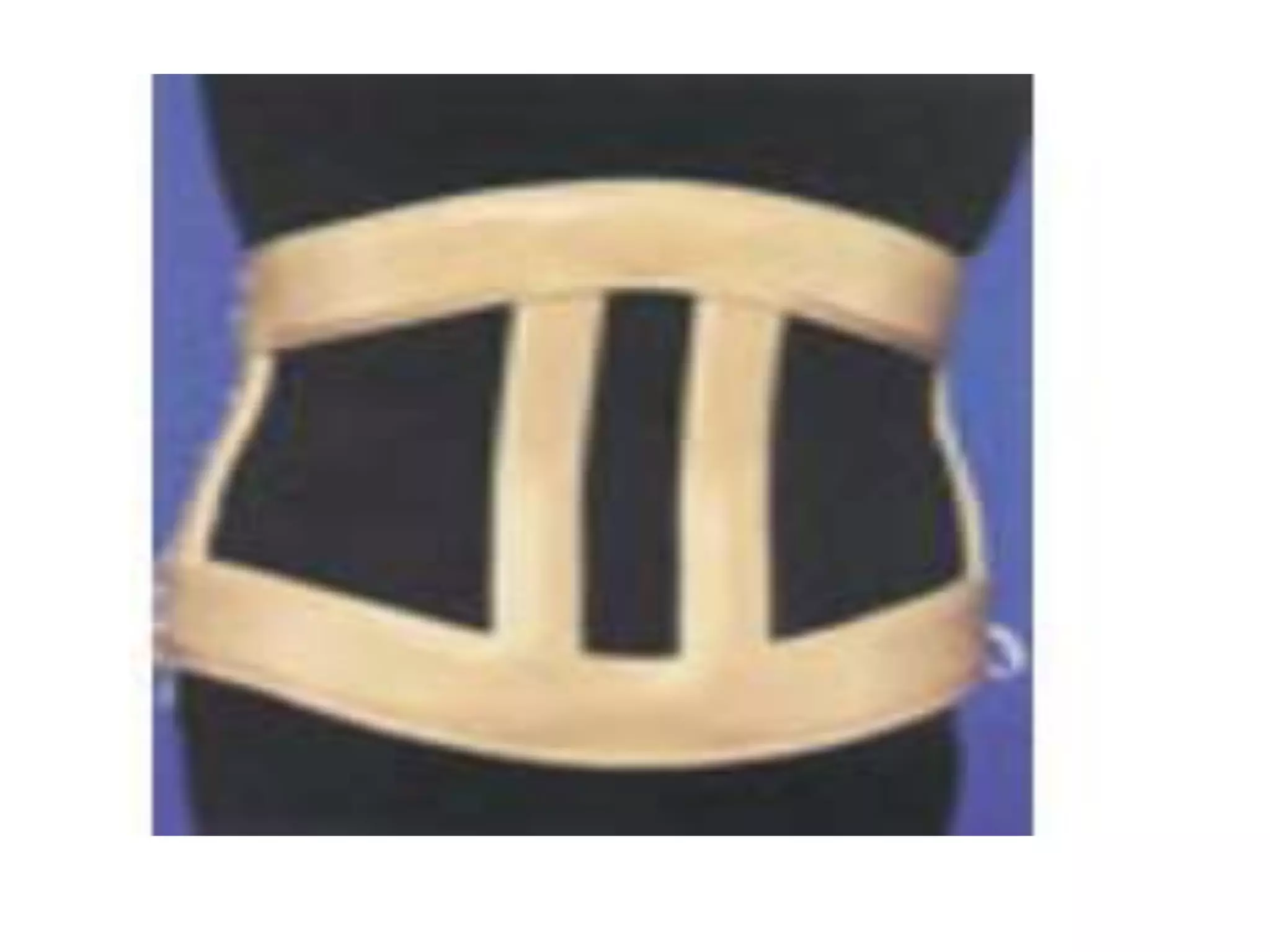 Trunk orthosis | PPTX