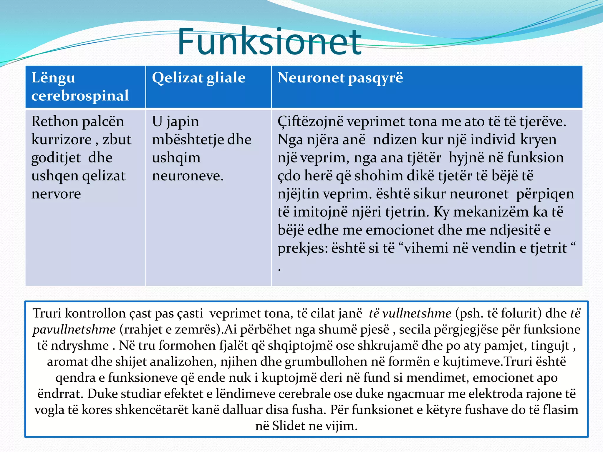 Truri i njeriut ne teresi | PPTX